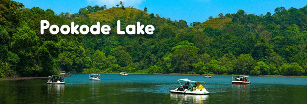 Pookode Lake – Darsan India